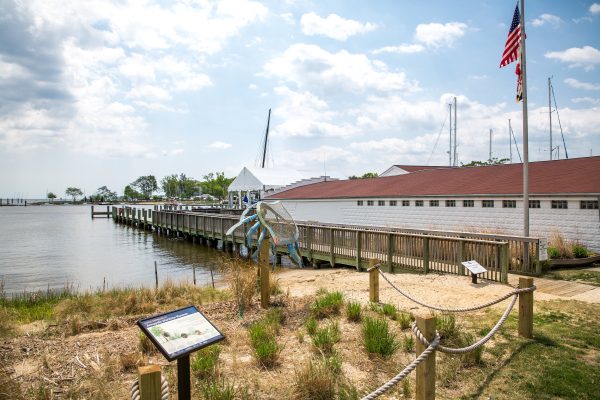 About Us - Annapolis Maritime Museum