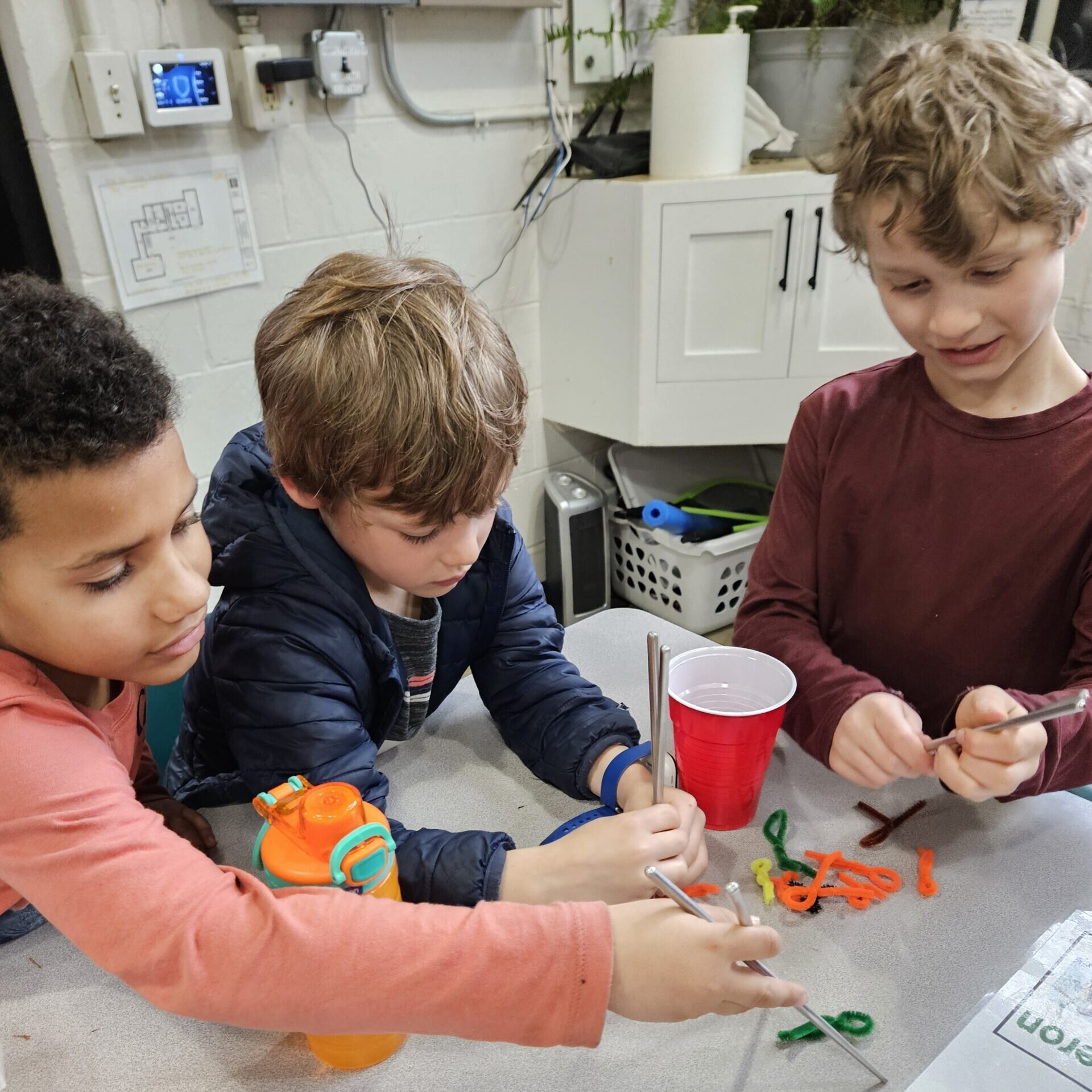 School’s Out Day Camp | The Annapolis Maritime Museum & Park
