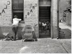 American Blues: The Diverse, Delicious Story of the Chesapeake Blue ...